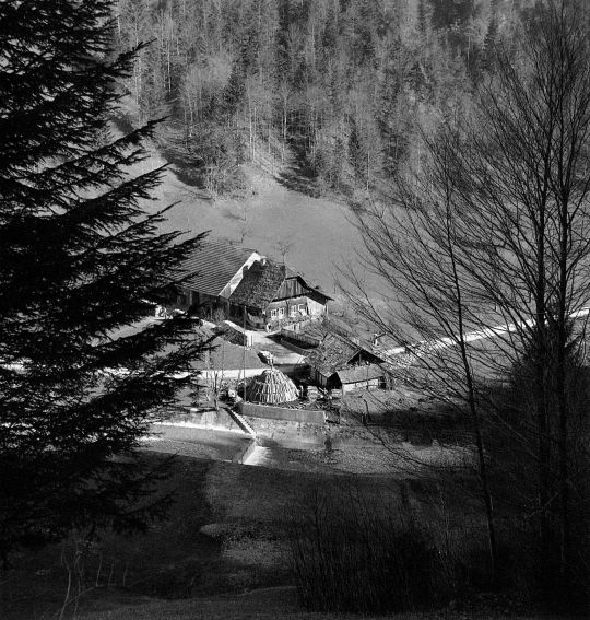 Förderverein Forstmuseum Ballenberg FFMB