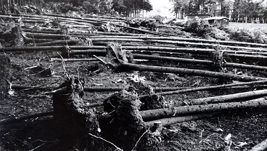 Förderverein Forstmuseum Ballenberg FFMB