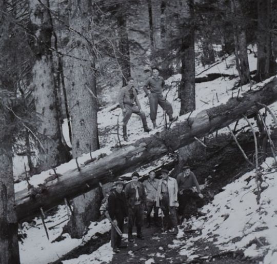 Förderverein Forstmuseum Ballenberg FFMB